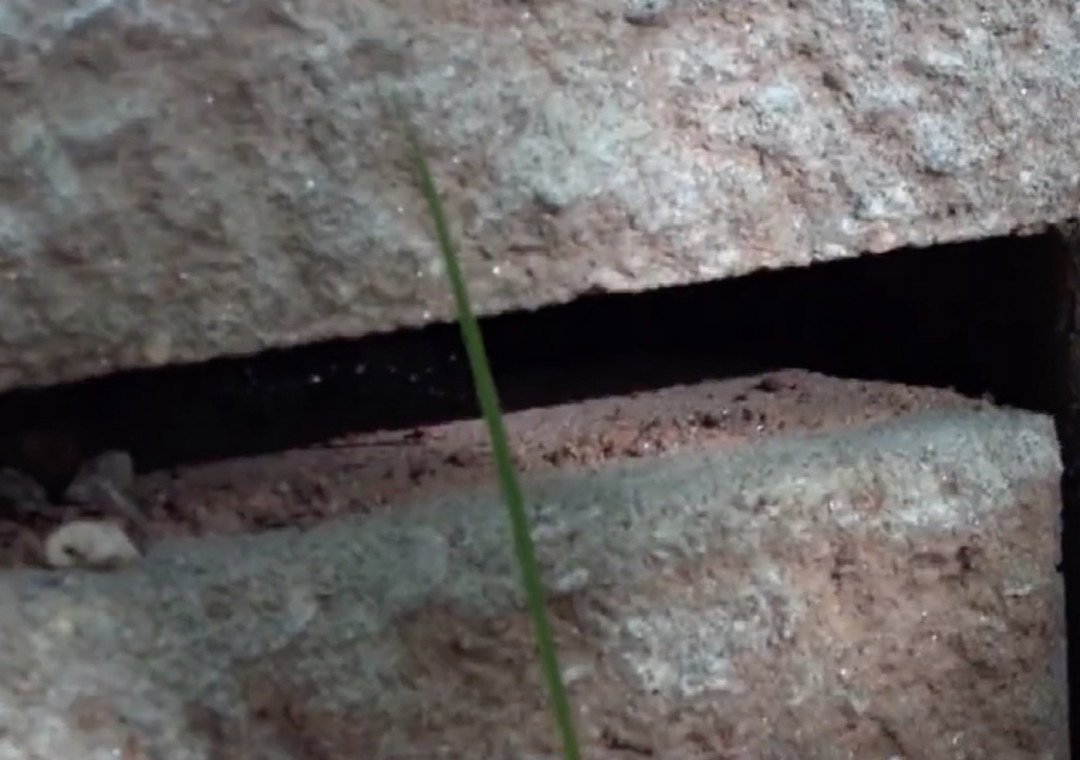 Have You Been Stonewalled by a Company? When This Retaining Wall ...